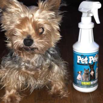 The Back Story | My Pet Peed - Pet Urine Remover