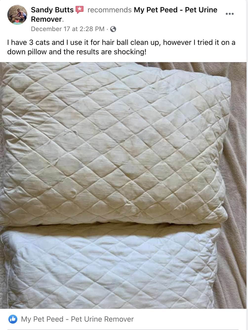 Results are shocking! | My Pet Peed - Pet Urine Remover