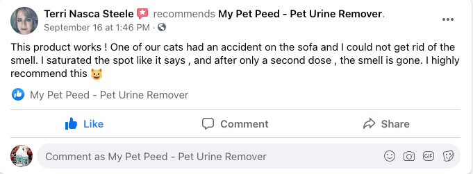 This Product Works! | My Pet Peed - Pet Urine Remover