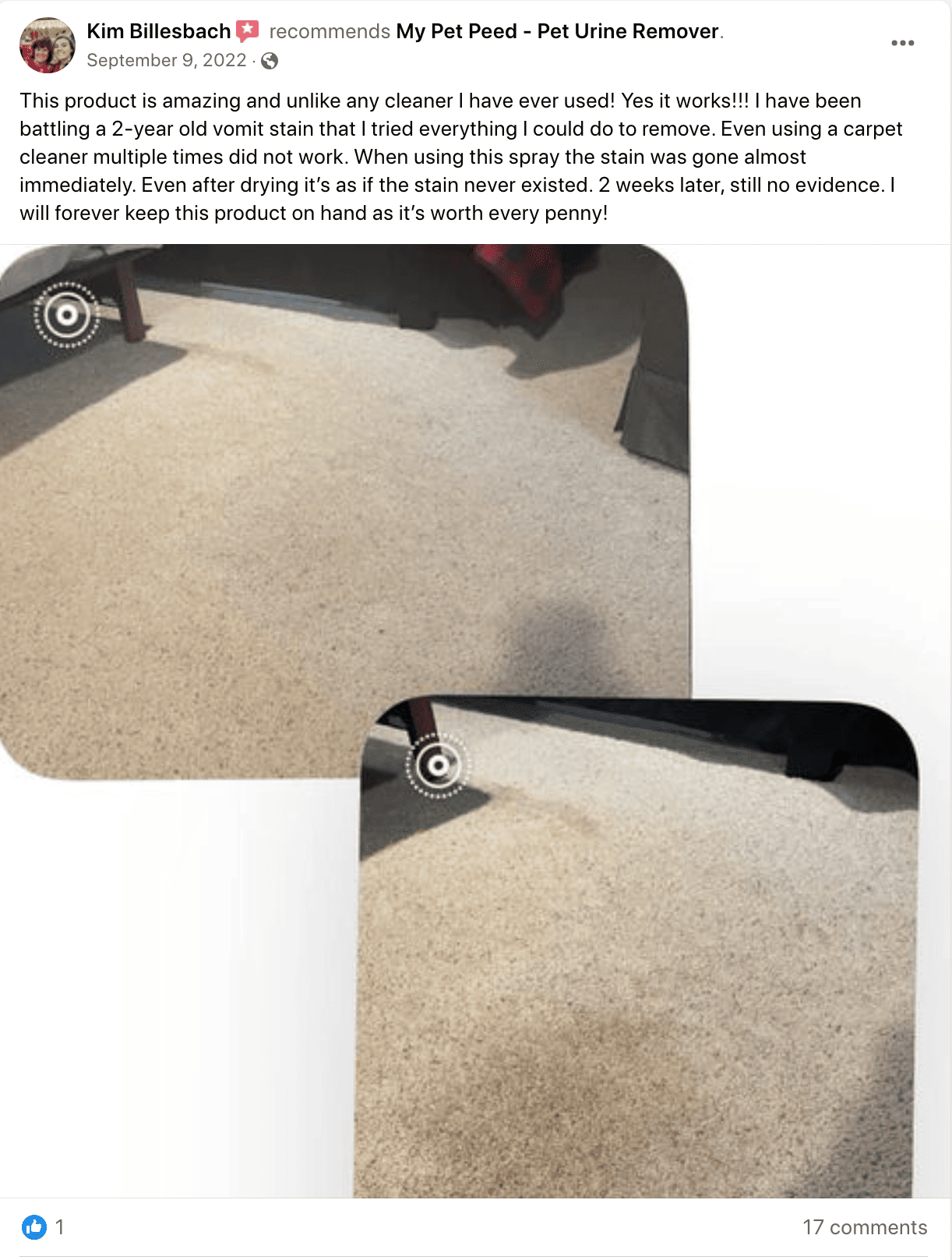 Unlike any cleaner | My Pet Peed - Pet Urine Remover