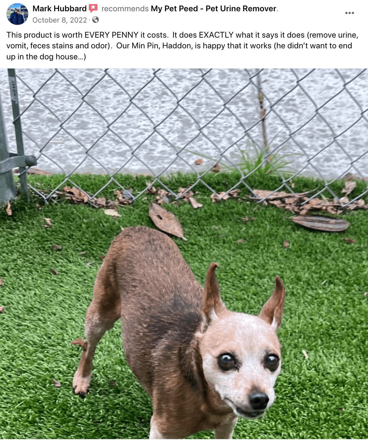 Worth every penny!! | My Pet Peed - Pet Urine Remover