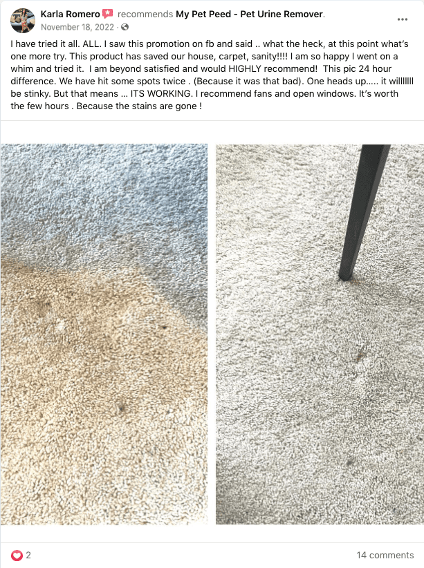 I have tried it all. ALL. | My Pet Peed - Pet Urine Remover