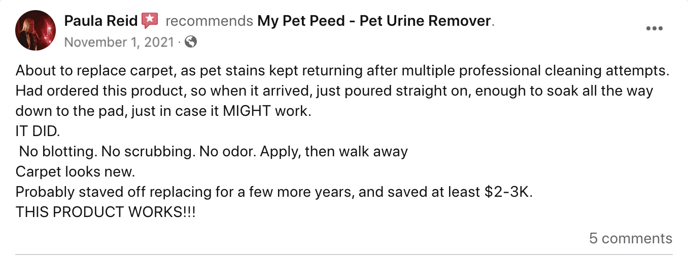 THIS PRODUCT WORKs | My Pet Peed - Pet Urine Remover