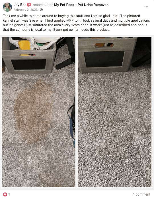 Reviews | My Pet Peed - Pet Urine Remover