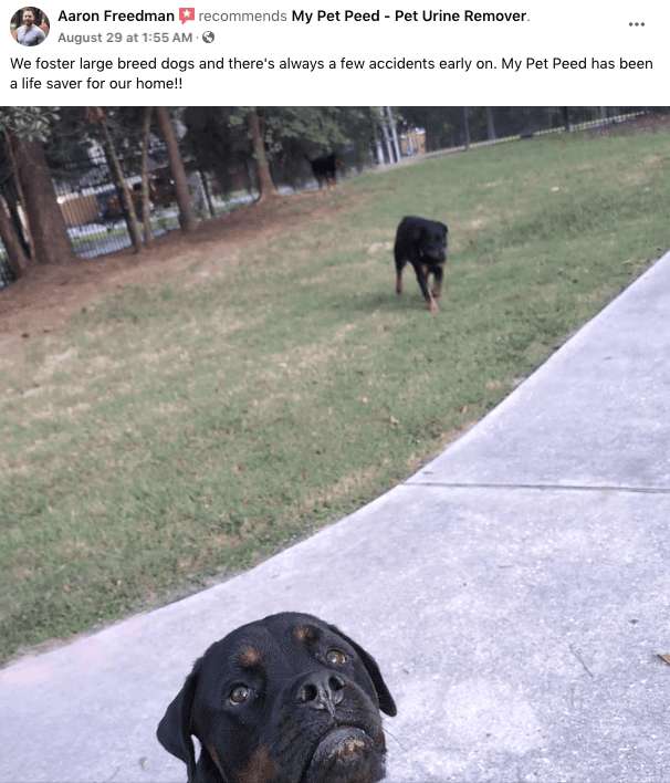 Reviews | My Pet Peed - Pet Urine Remover