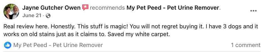 Real review here | My Pet Peed - Pet Urine Remover