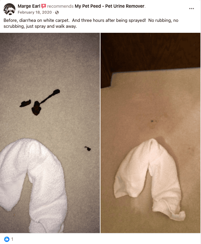 Three hours later... | My Pet Peed - Pet Urine Remover